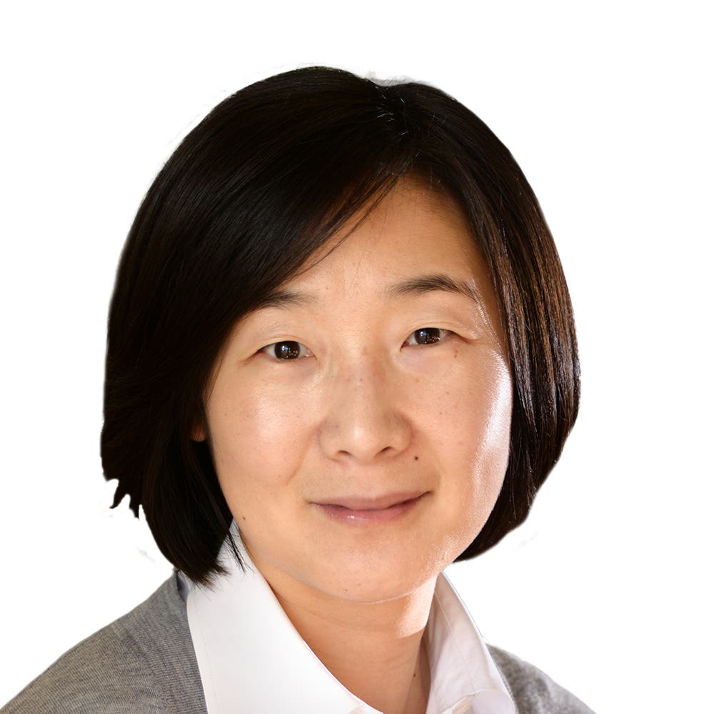 Fan Gao | Principal Emeritus | Research & Development | ZS