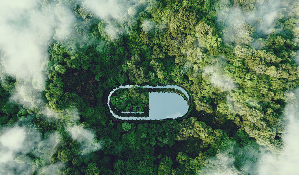 Manage scope 3 emissions in the supply chain for sustainability goals | ZS